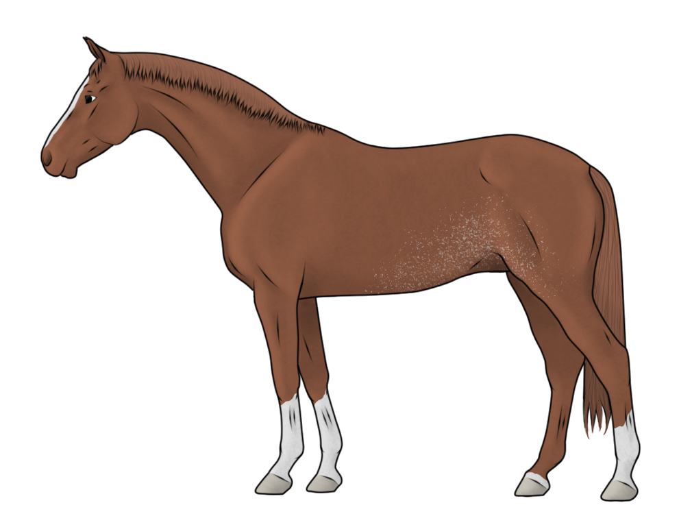 Oxer To Oxer - Welcome